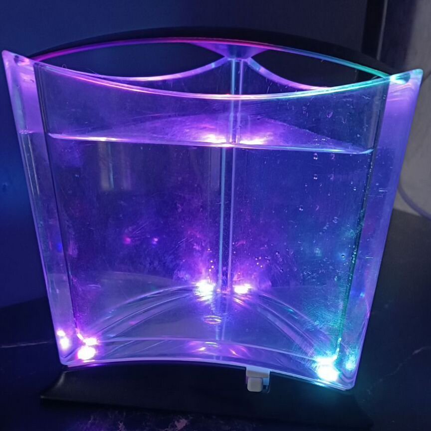 Аквариумные рыбки, сачек и камни декаративные