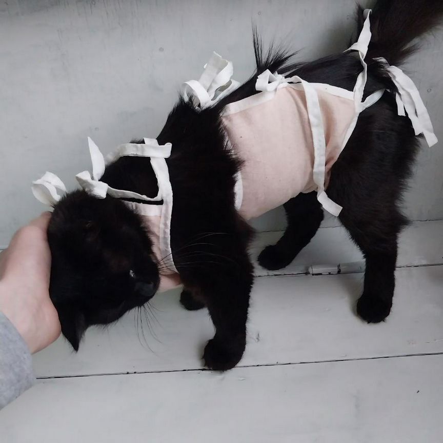 Последний шанс найти ручки