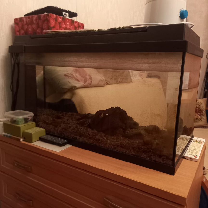 Аквариум 100 литров