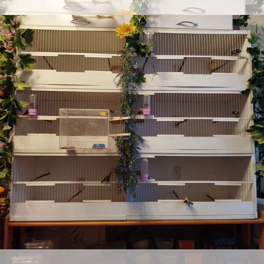 Клетки для птиц