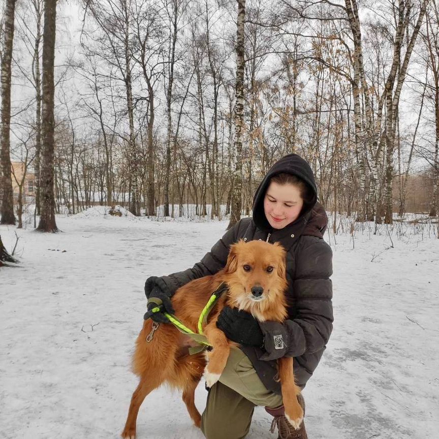 Рыжий молодой мальчик из приюта