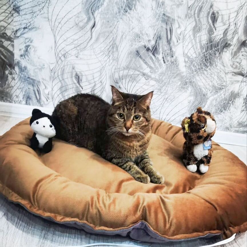 Лежанка для собак и кошек