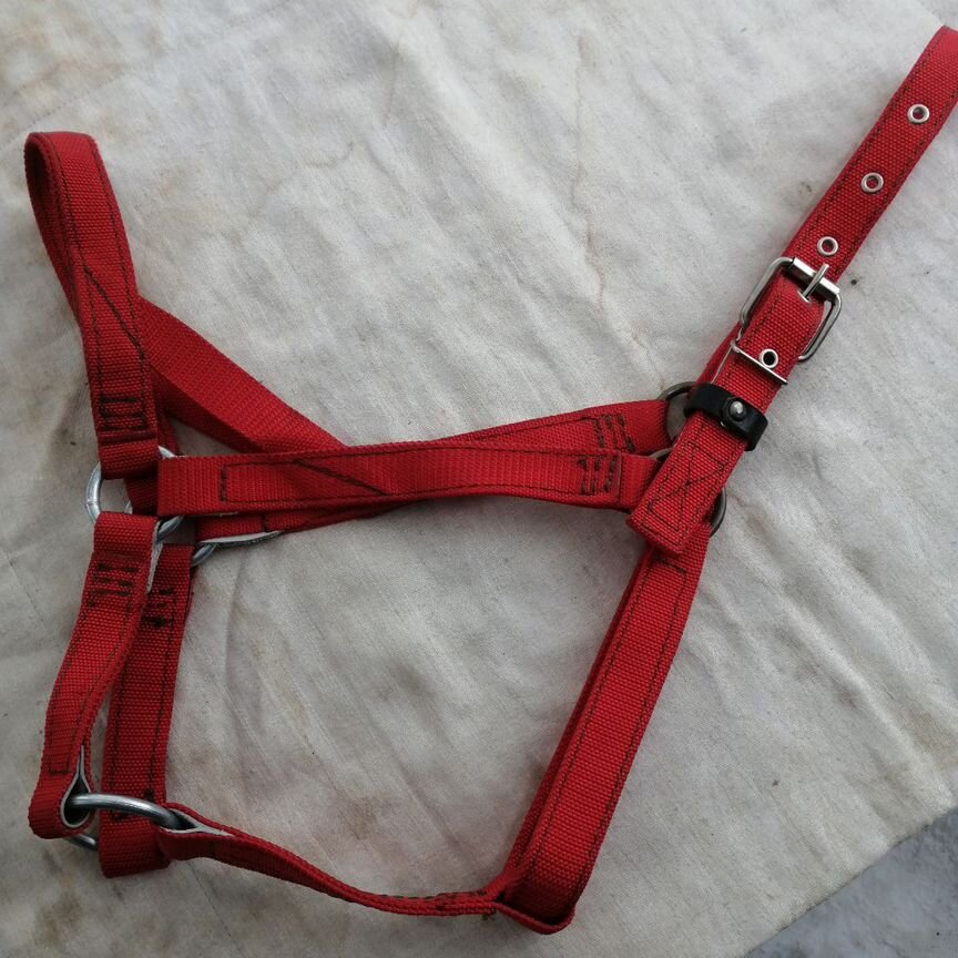 Недоуздок для лошади