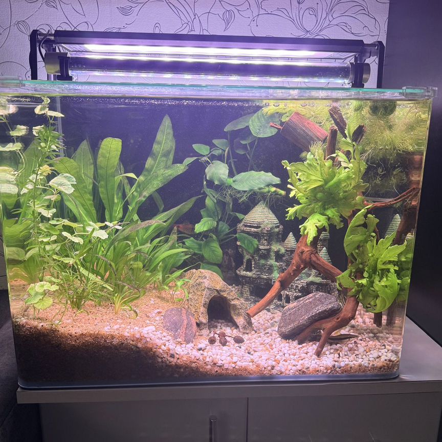 Аквариум Dennerle Nano Scaper's Tank, 70 л