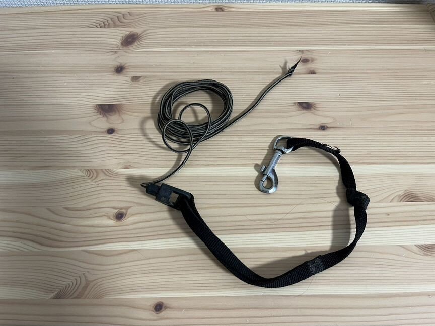 Карабин и трос от поводка рулетки