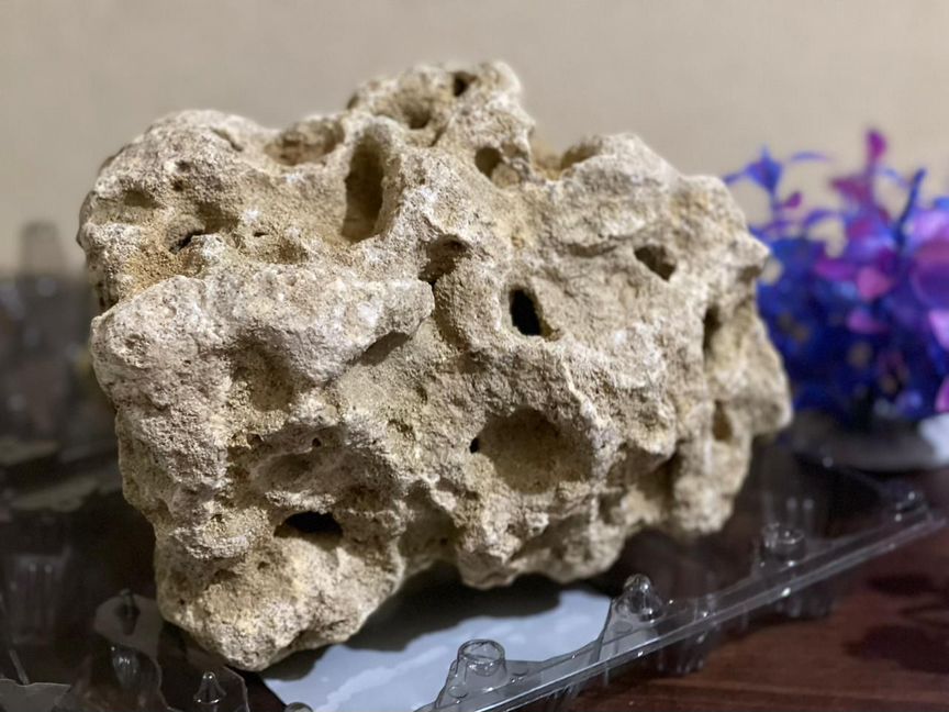Камень песчаник в аквариум