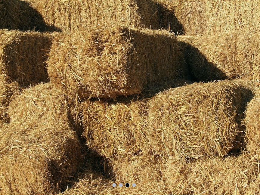 Солома в брикетах