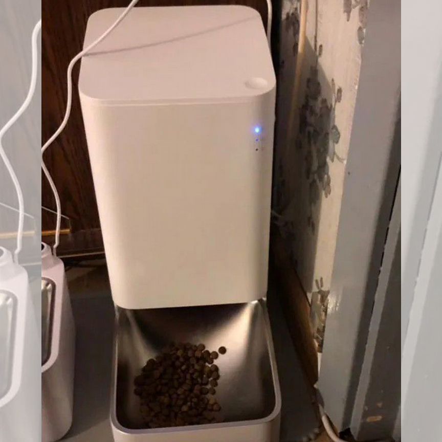 Аренда. Автокормушка