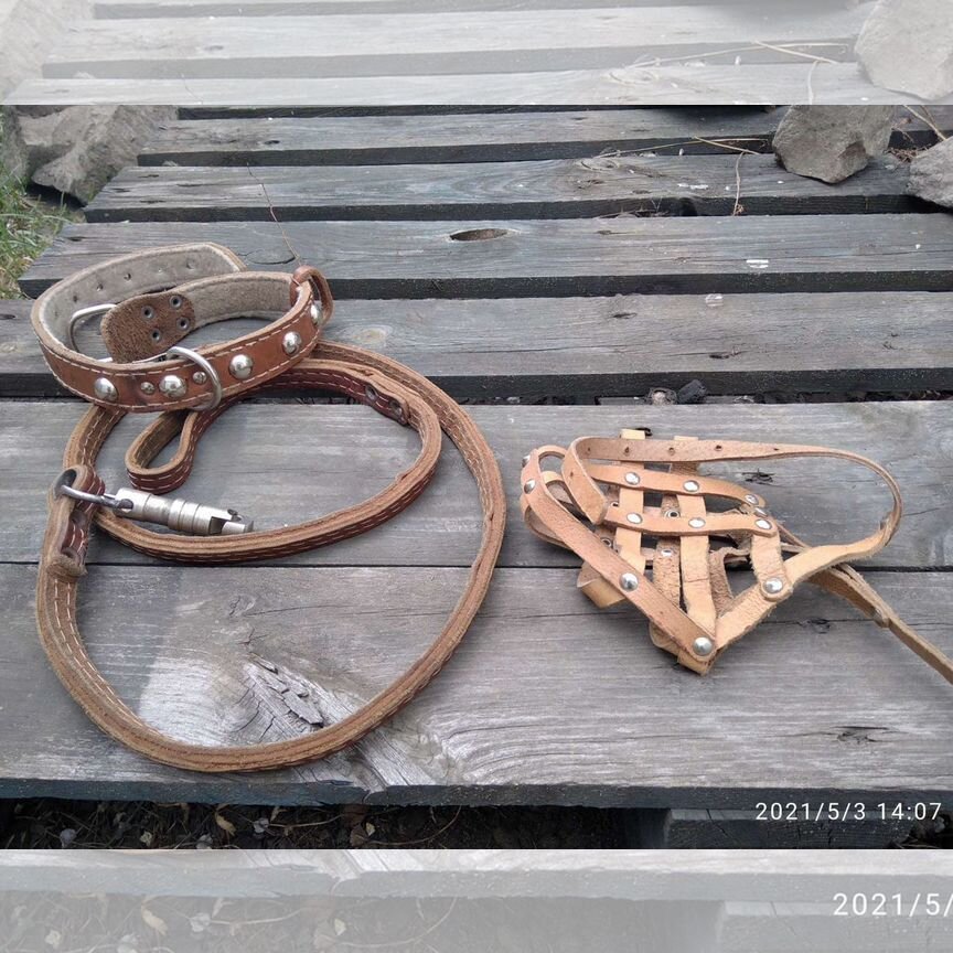 Ошейник и намордник на собаку