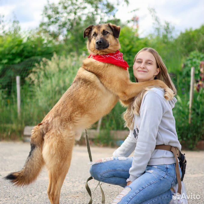 Молодой красивый Бурбон
