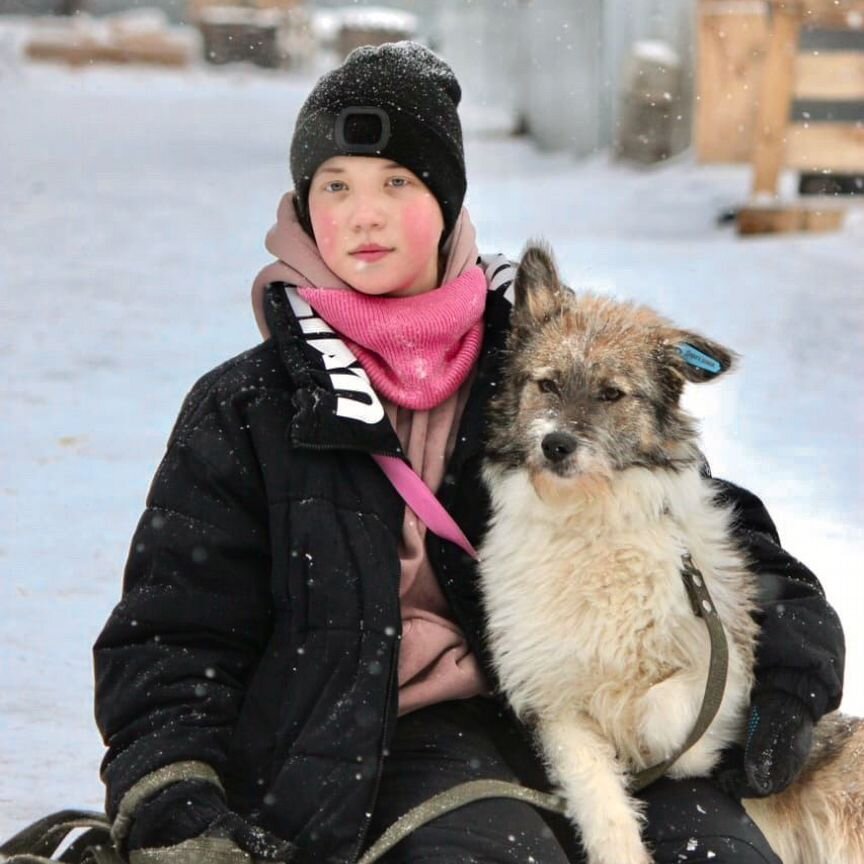 Лёлик, в поисках дома