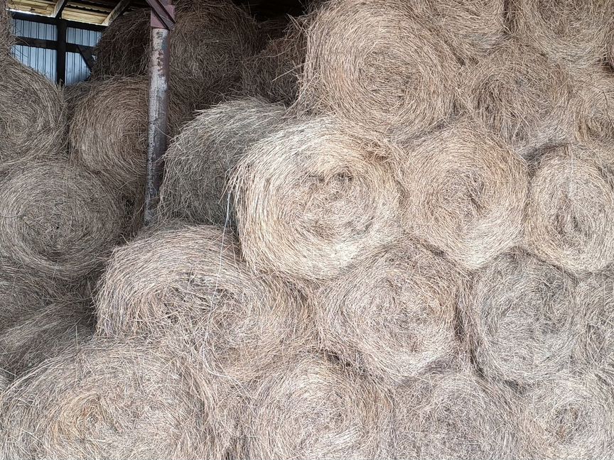 Сено не в тюках, а в рулонах 250 кг (погрузка)