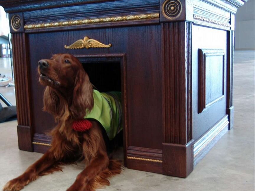 Будка для собаки