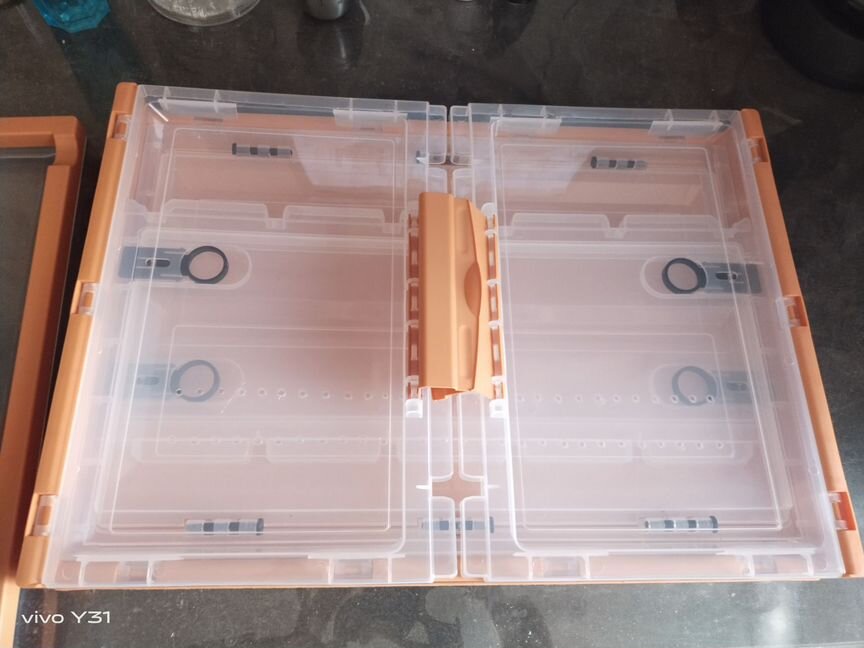 Террариум для эублефара