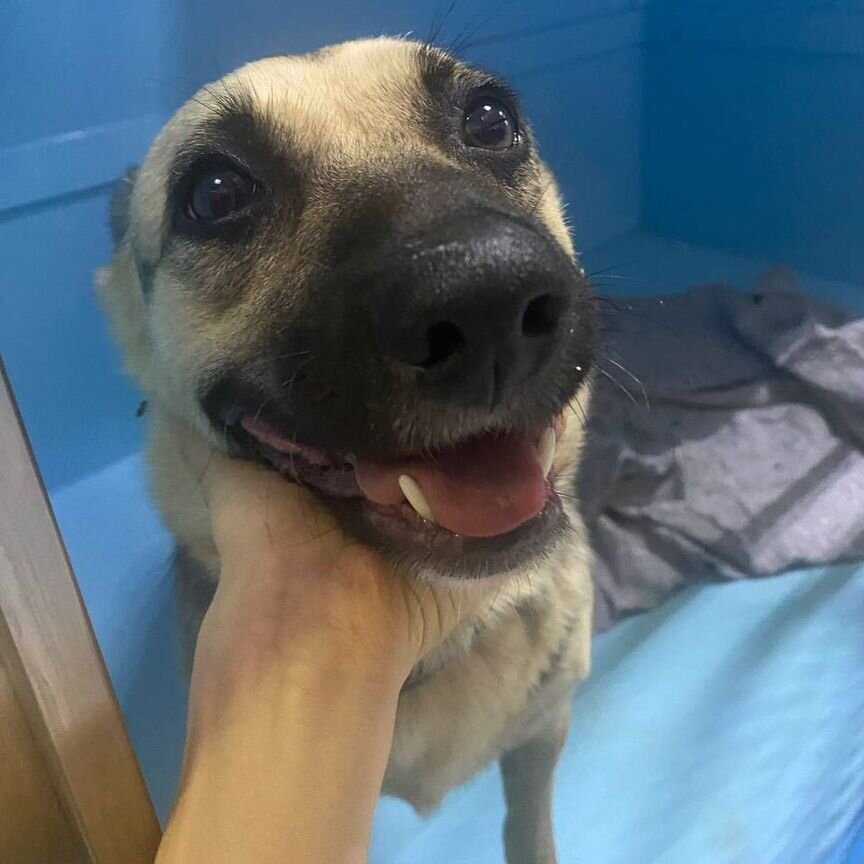 Бейли послелний день