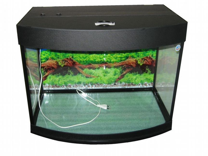 Аквариумы прямоугольные,круглые,сферичиские и т.д