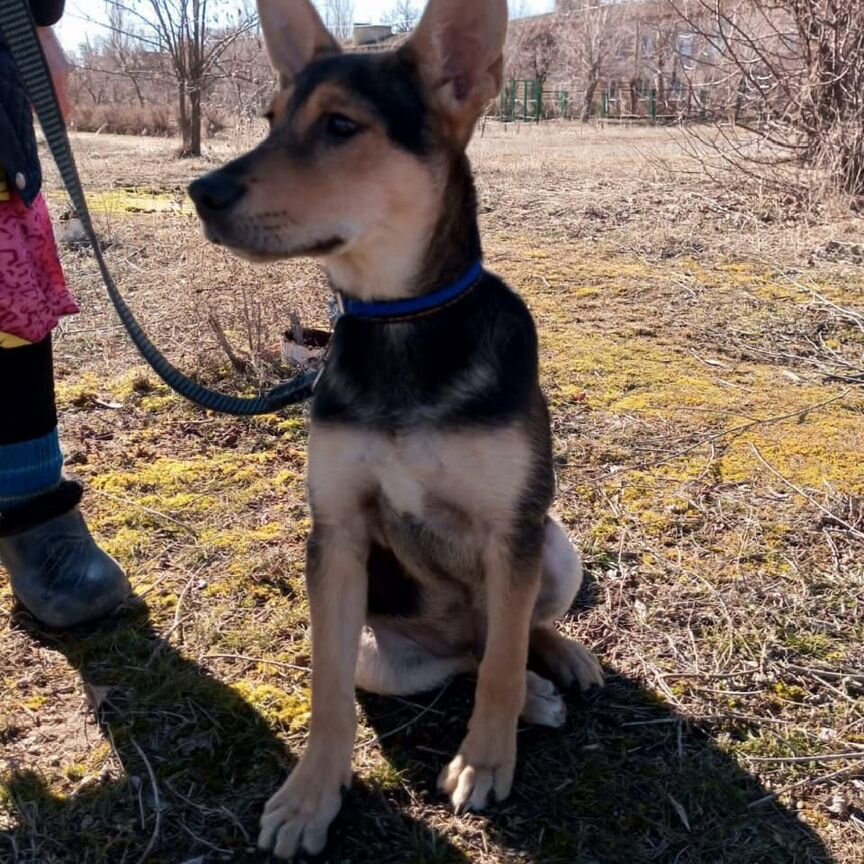 Джек ищет дом