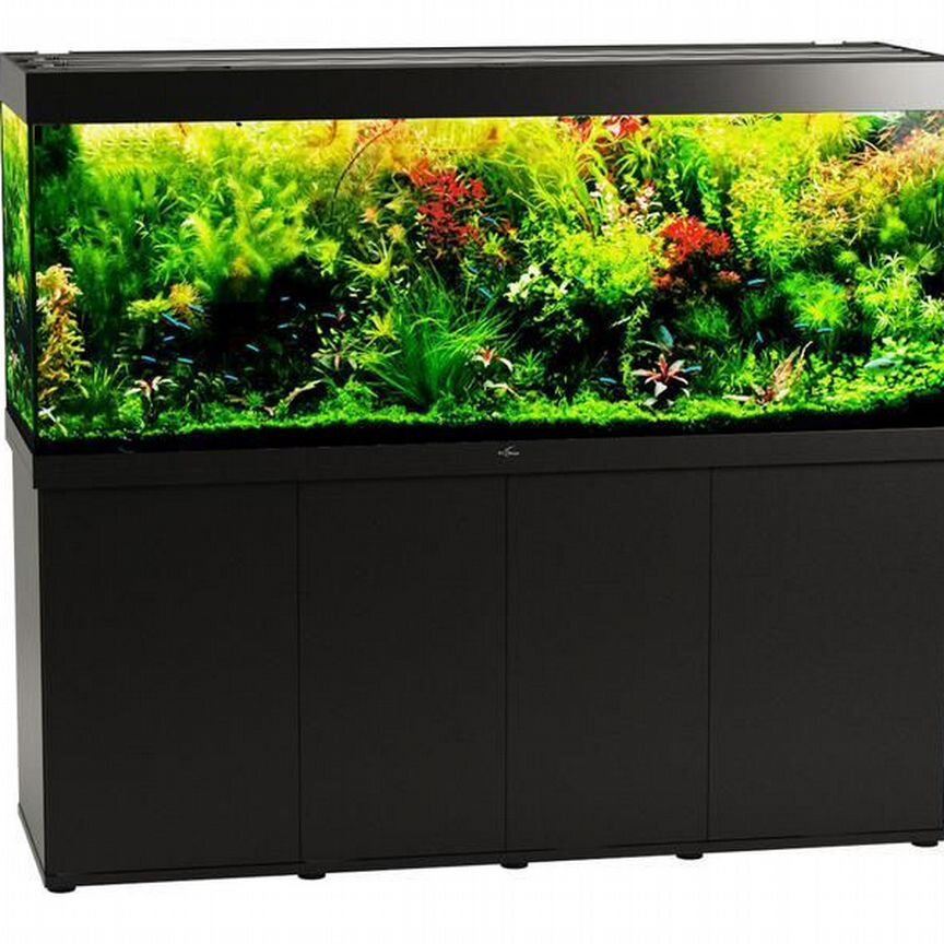 Аквариум бу большой