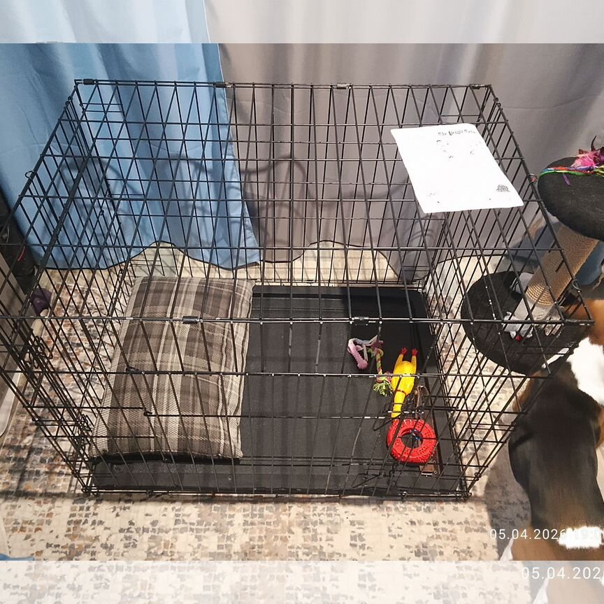 Клетка вольер для собак