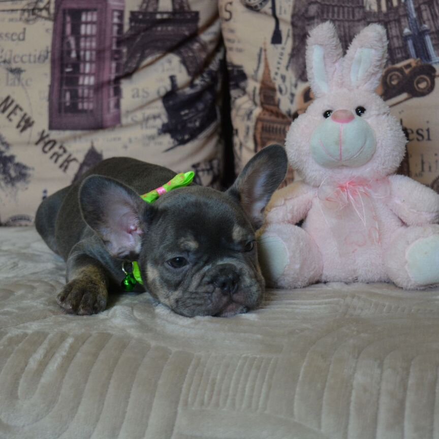 Девочка в голубом окрасе