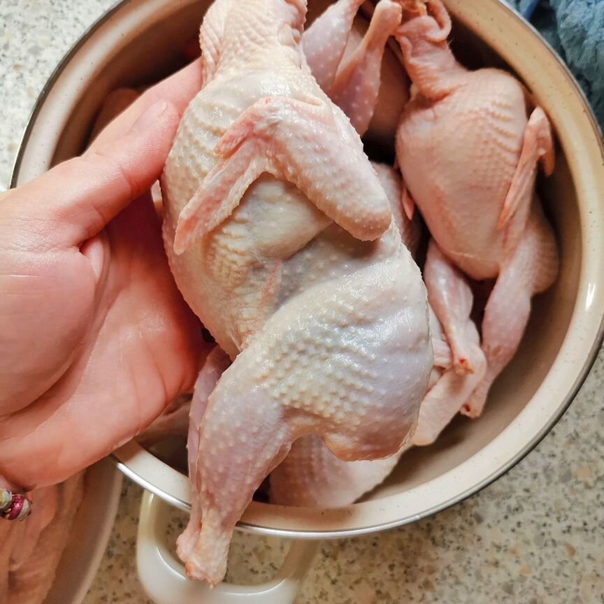 Корм животным. Перепела