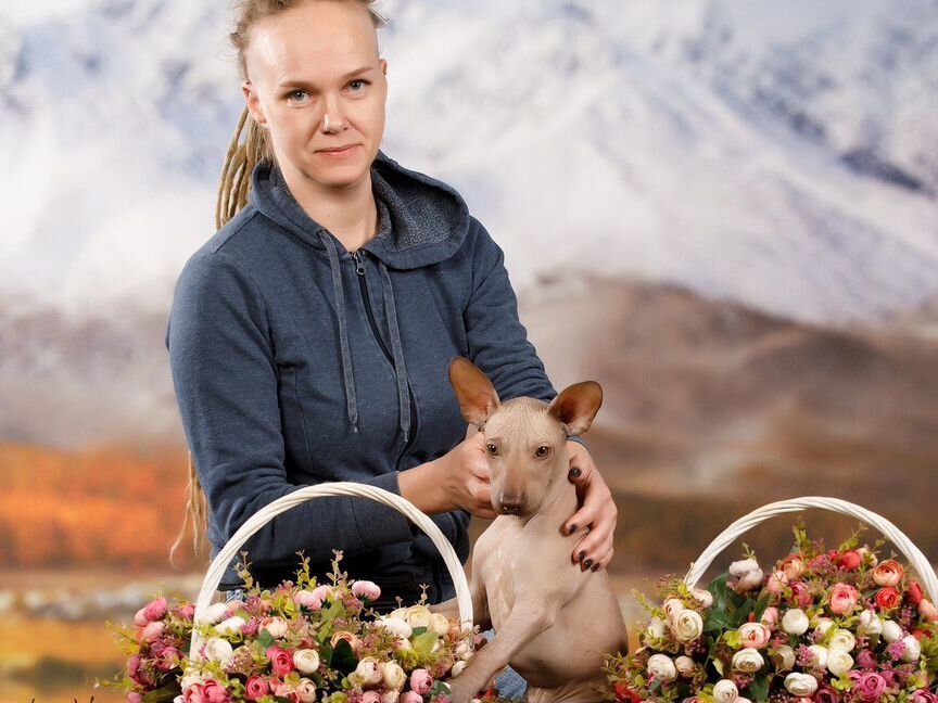 Щенки ксолоитцкуинтли