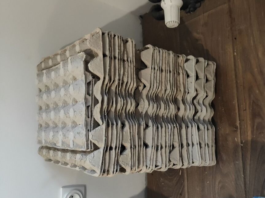 Яичные лотки