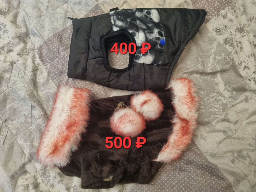 Одежда для маленьких собак бу