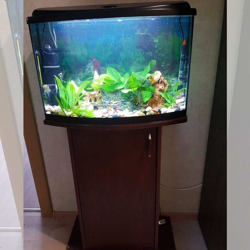 Продаю аквариум