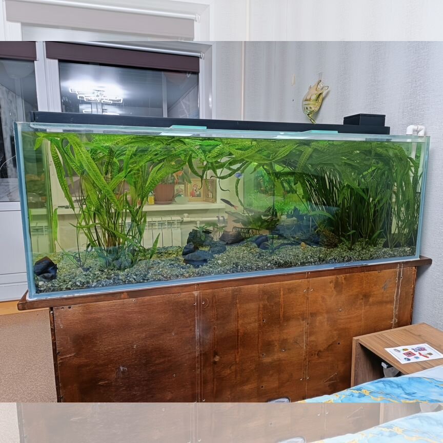 Аквариум 470 л