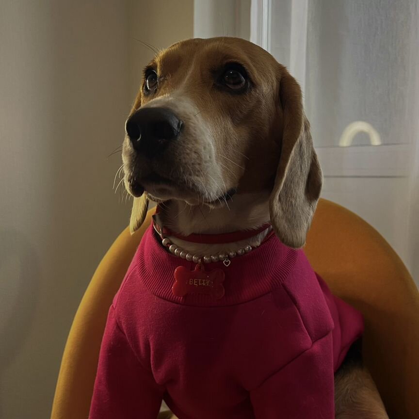 Адресник из эпоксидной смолы