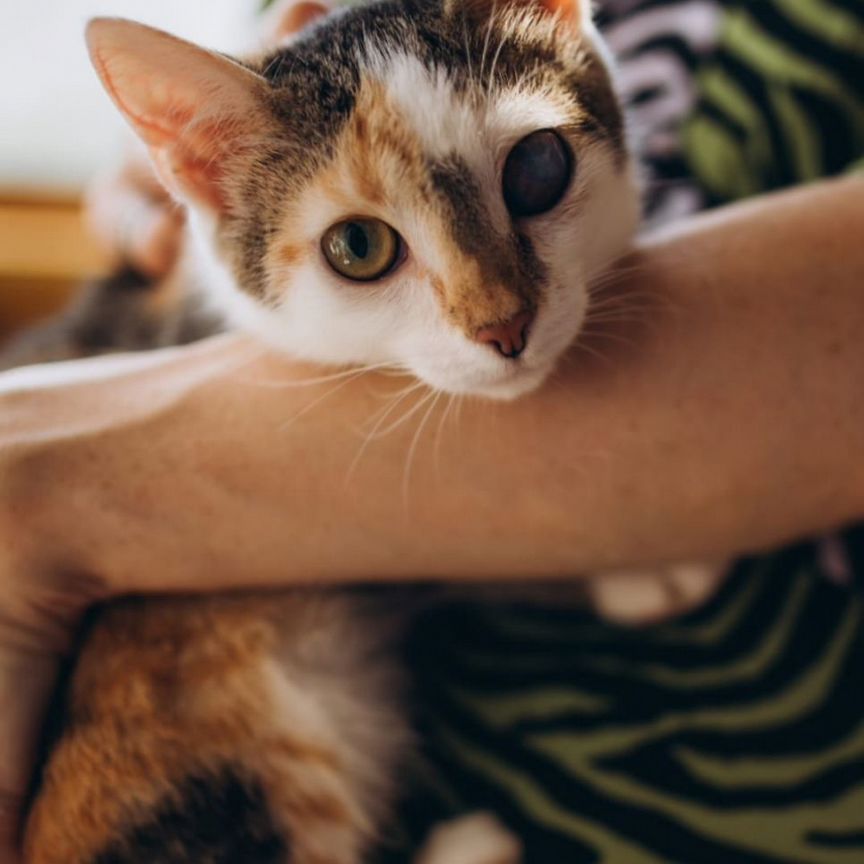 Даша 7 месяцев