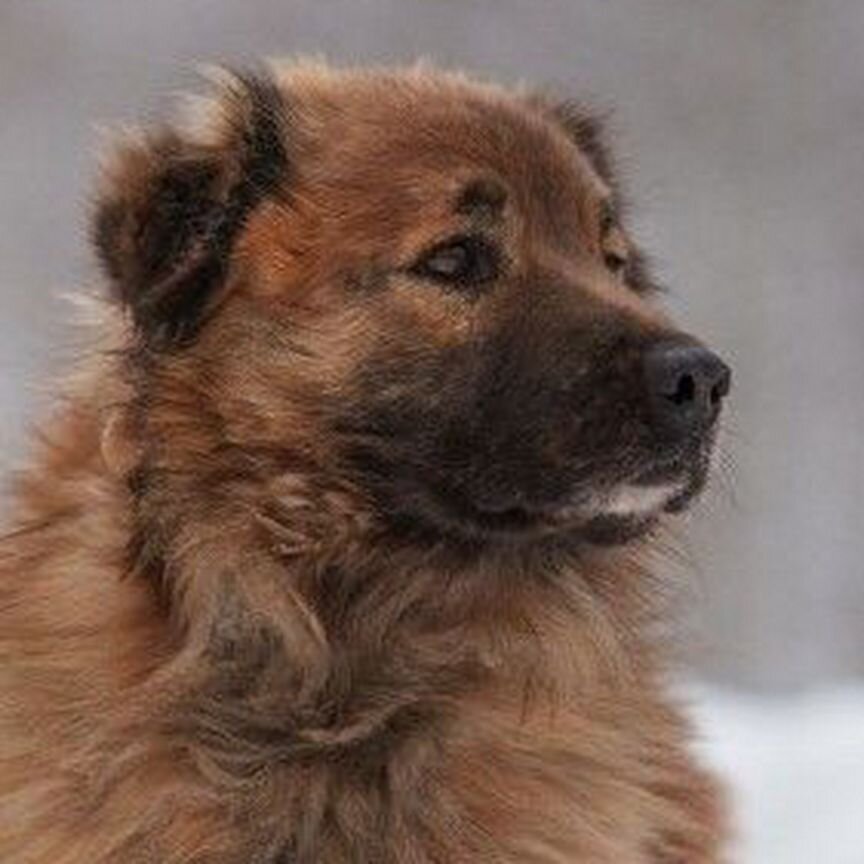 2 недели ждал на дороге, что за ним вернутся