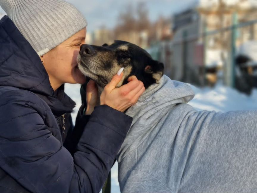Замечательный пес из приюта