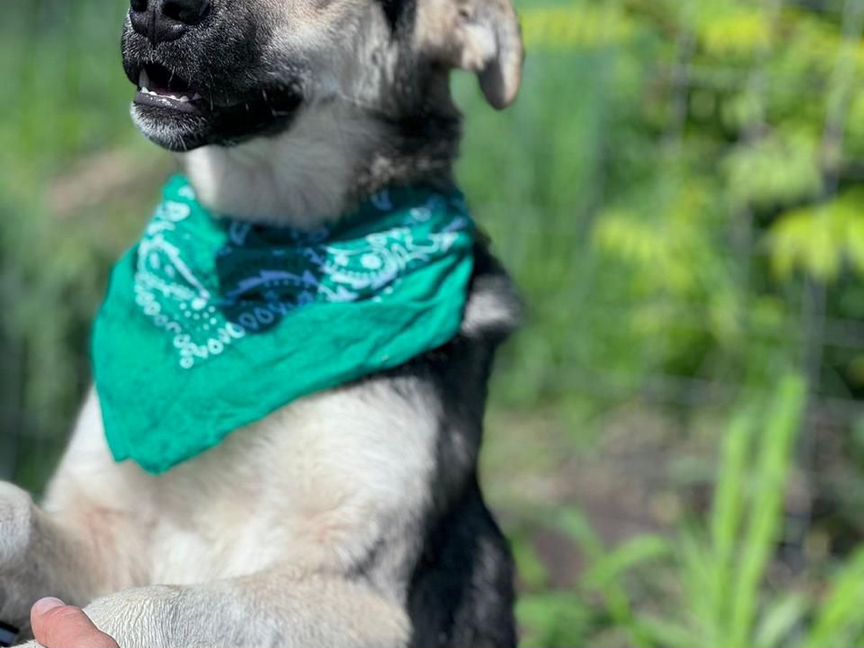 Малыш Буба из приюта ждёт свою семью