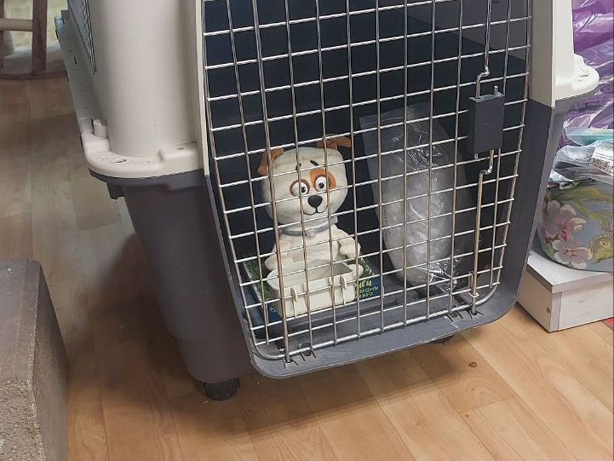 Переноска для крупной собаки