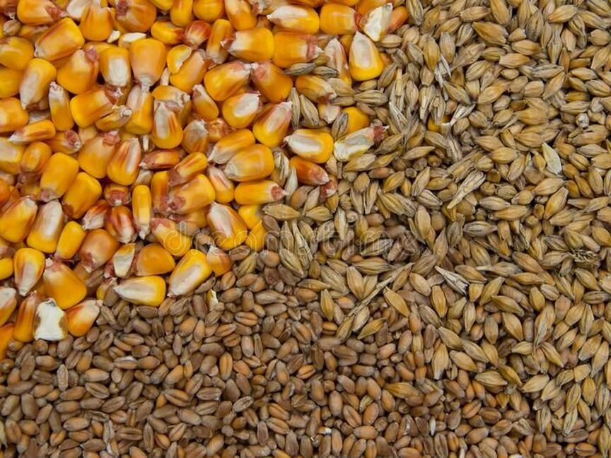 Продам корма для животных и птиц