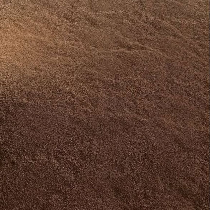 Сахарная свёкла, Пшеница яровая на корм/посев