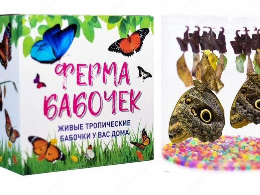 Ферма для выращивания Бабочек