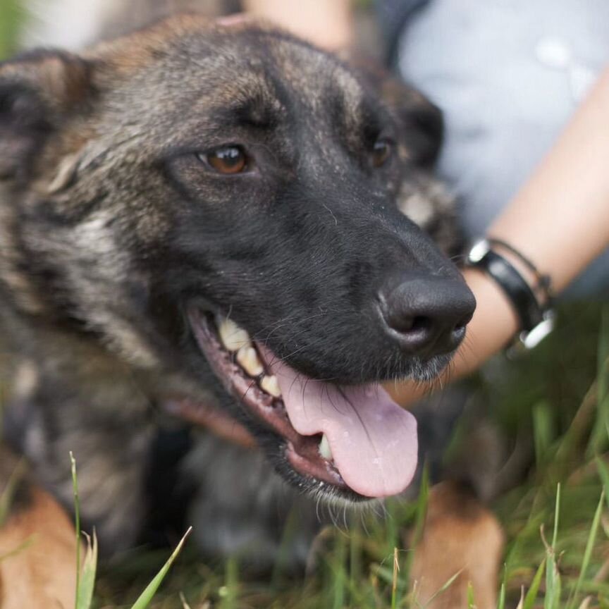 Эльбрус, очень нуждается в тебе