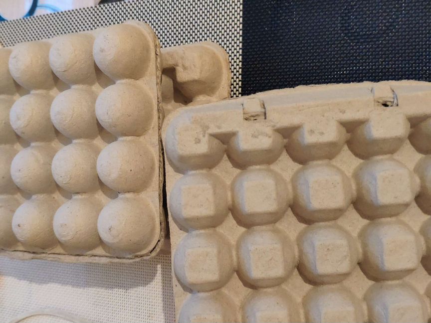 Контейнер для перепелиных яиц