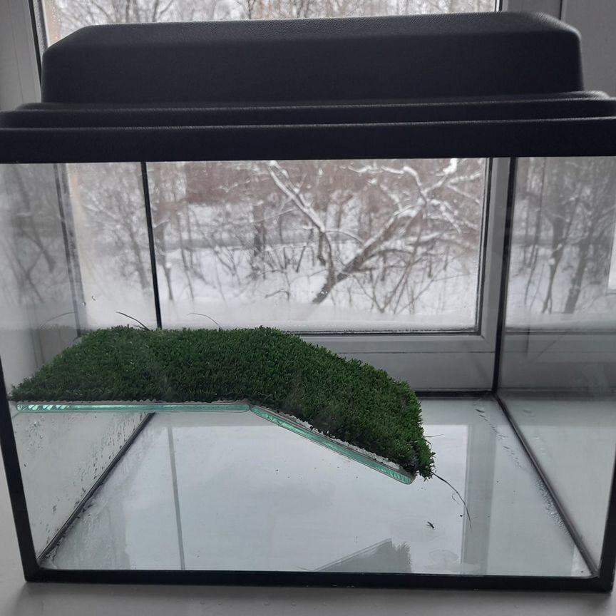 Аквариум для черепах