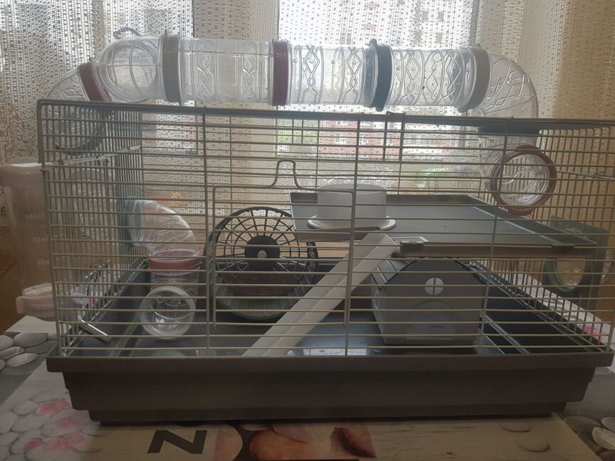 Клетка для грызунов бу