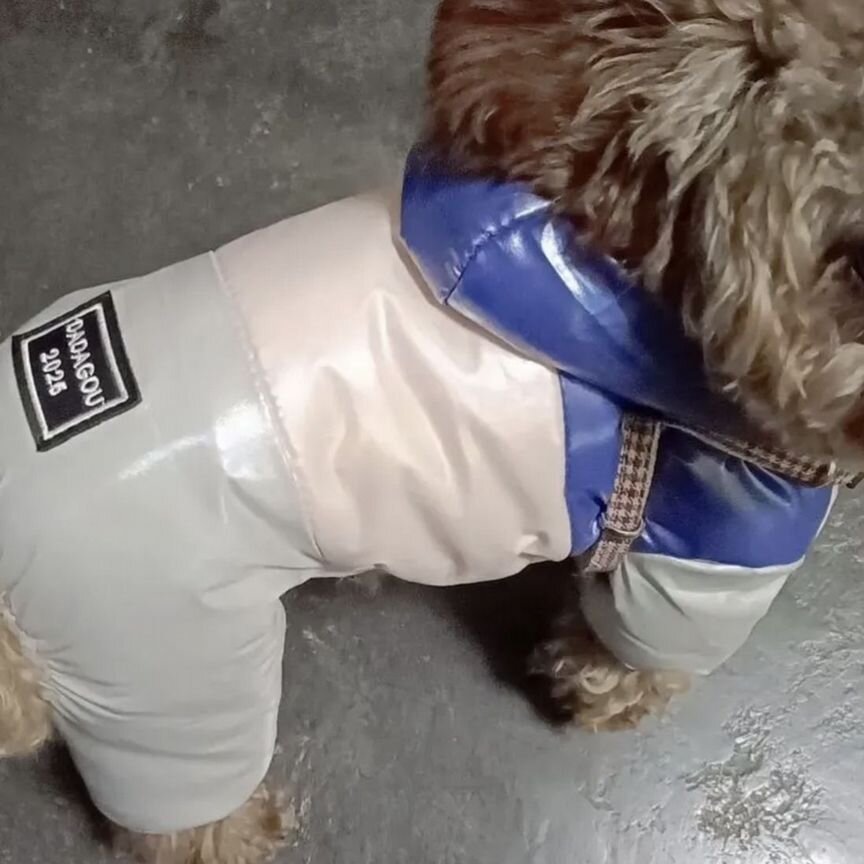 Комбинезон для маленькой собачки