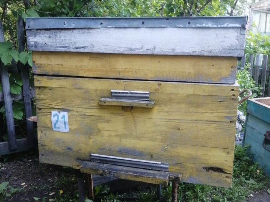 Улей для пчел