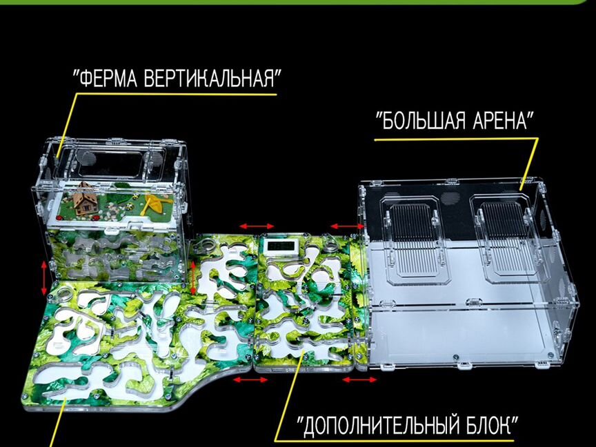 Муравьиная ферма вертикальная Формикарий с гипсом