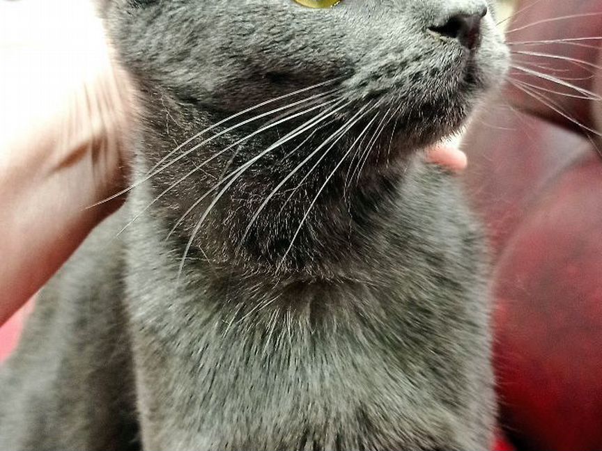 Гаврик 10 мес