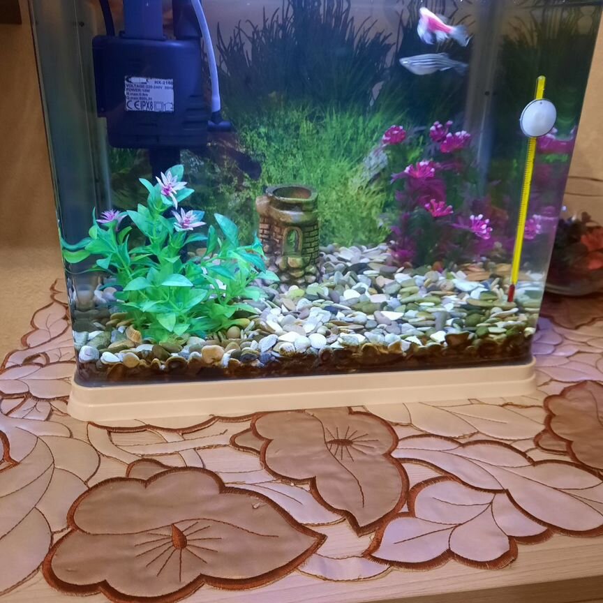 Аквариум с рыбами