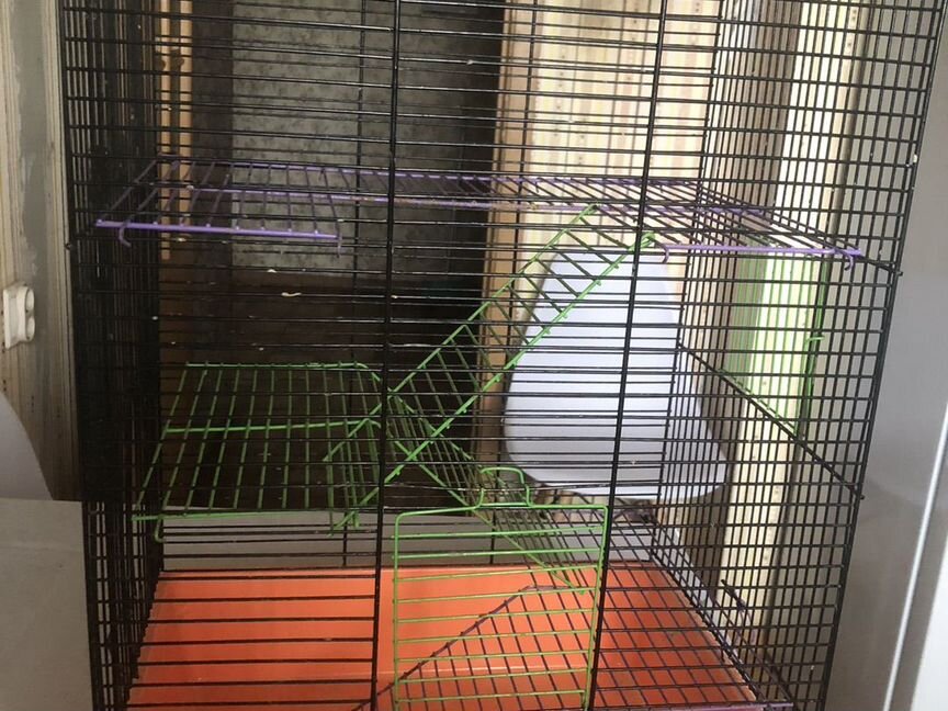Большая клетка для крыс б/у