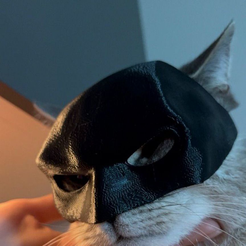Маска для кота